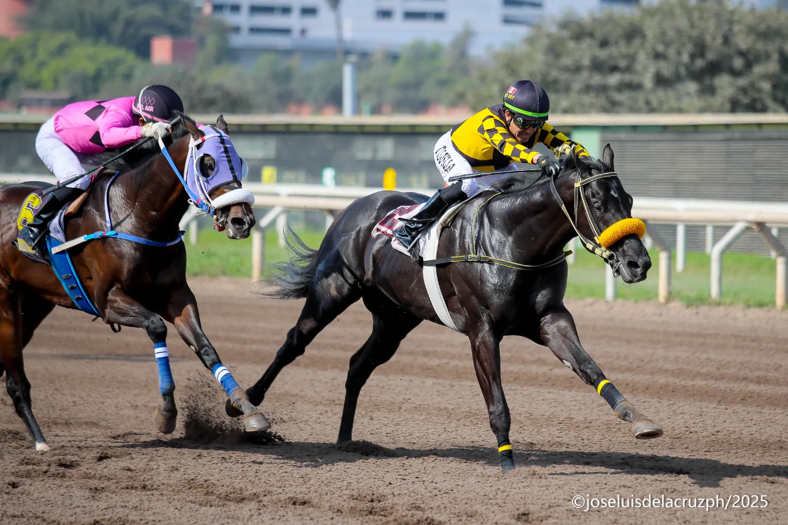 Stud Jet Set completó buen doblete
