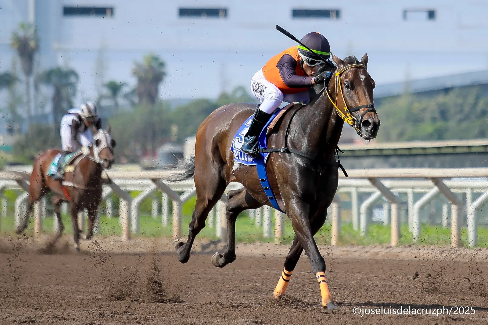 Bella Mía pudo más que British Pride